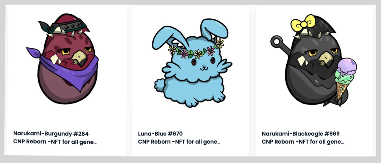 ジェネラティブNFT CNP Rebornの成長とTikTok参入キャンペーンについて | シニアから親しむWeb3.0